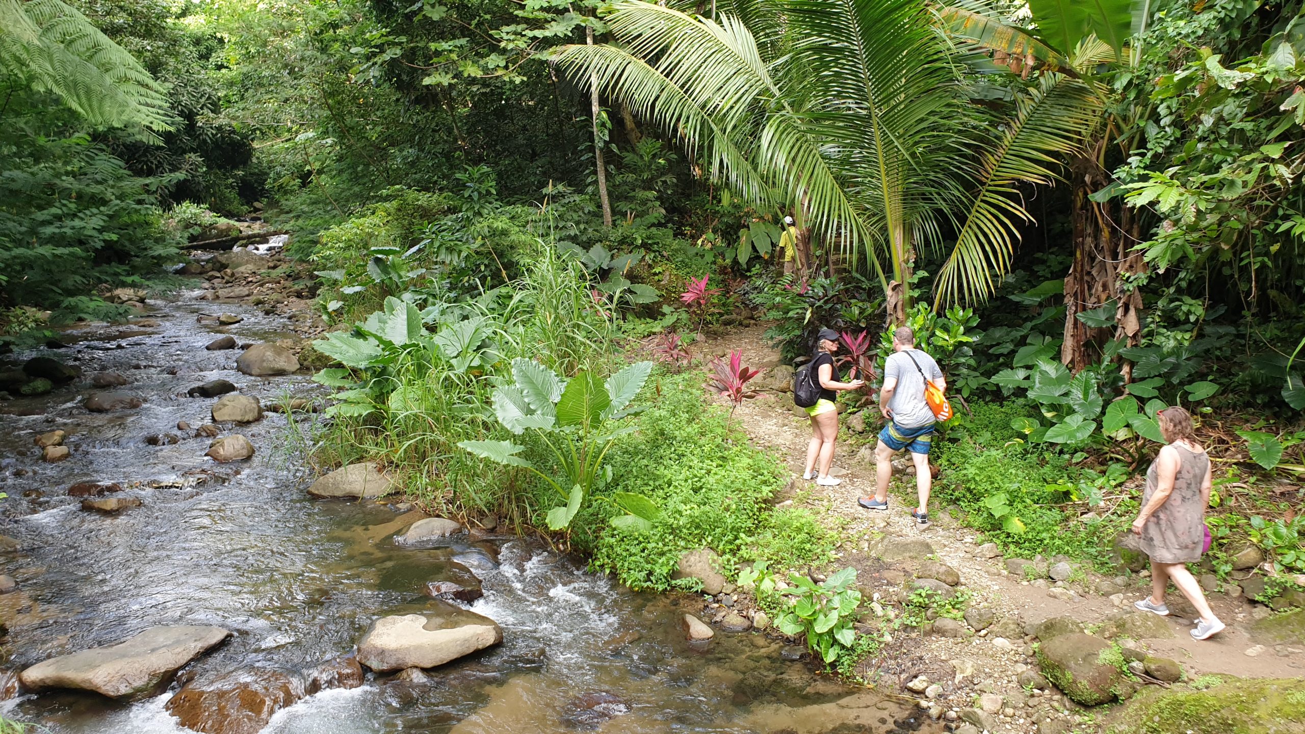 20191202_154106 - pagomo.eu