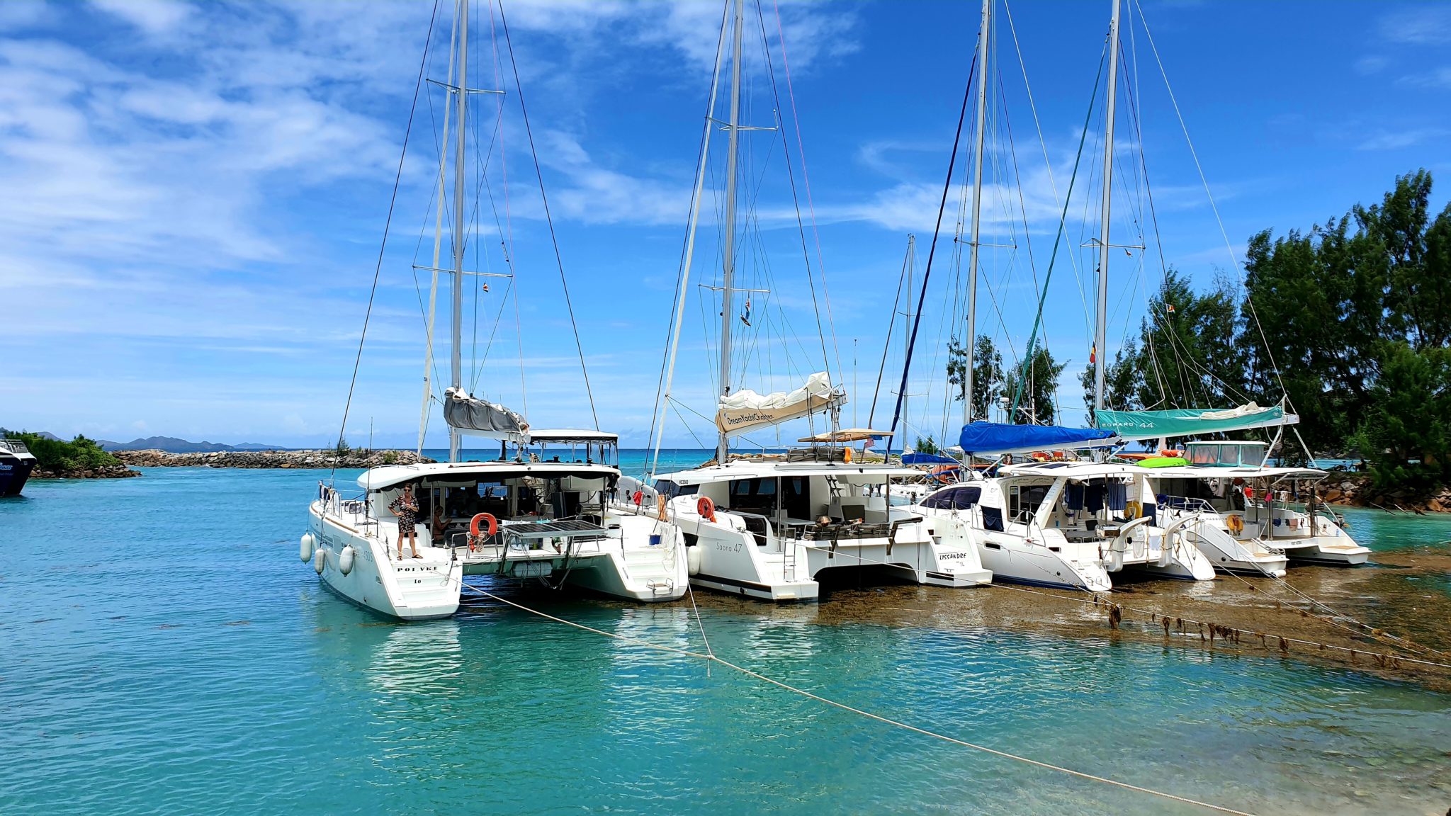 20200131_194142 - pagomo.eu