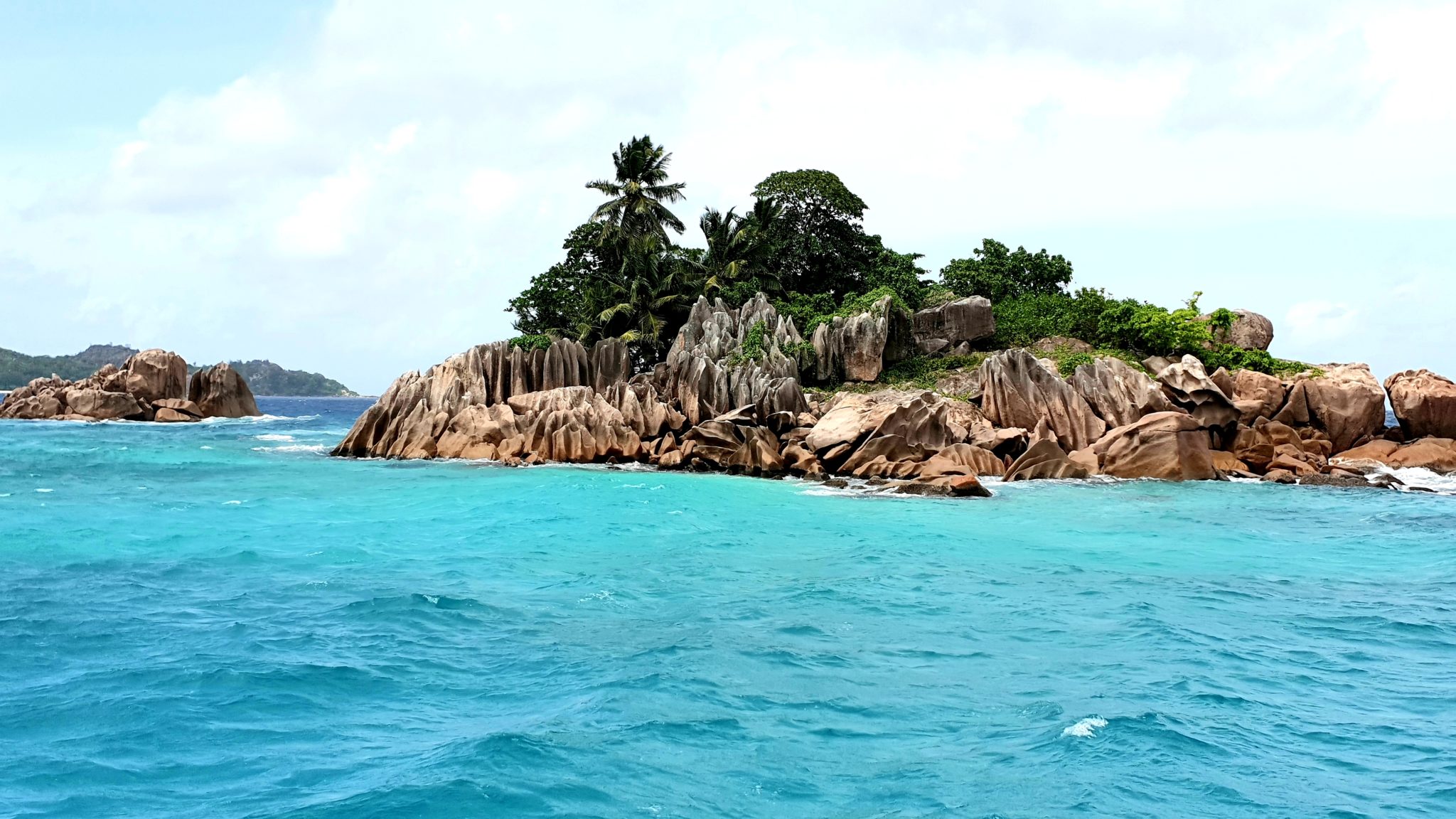 20200203_160931 - pagomo.eu