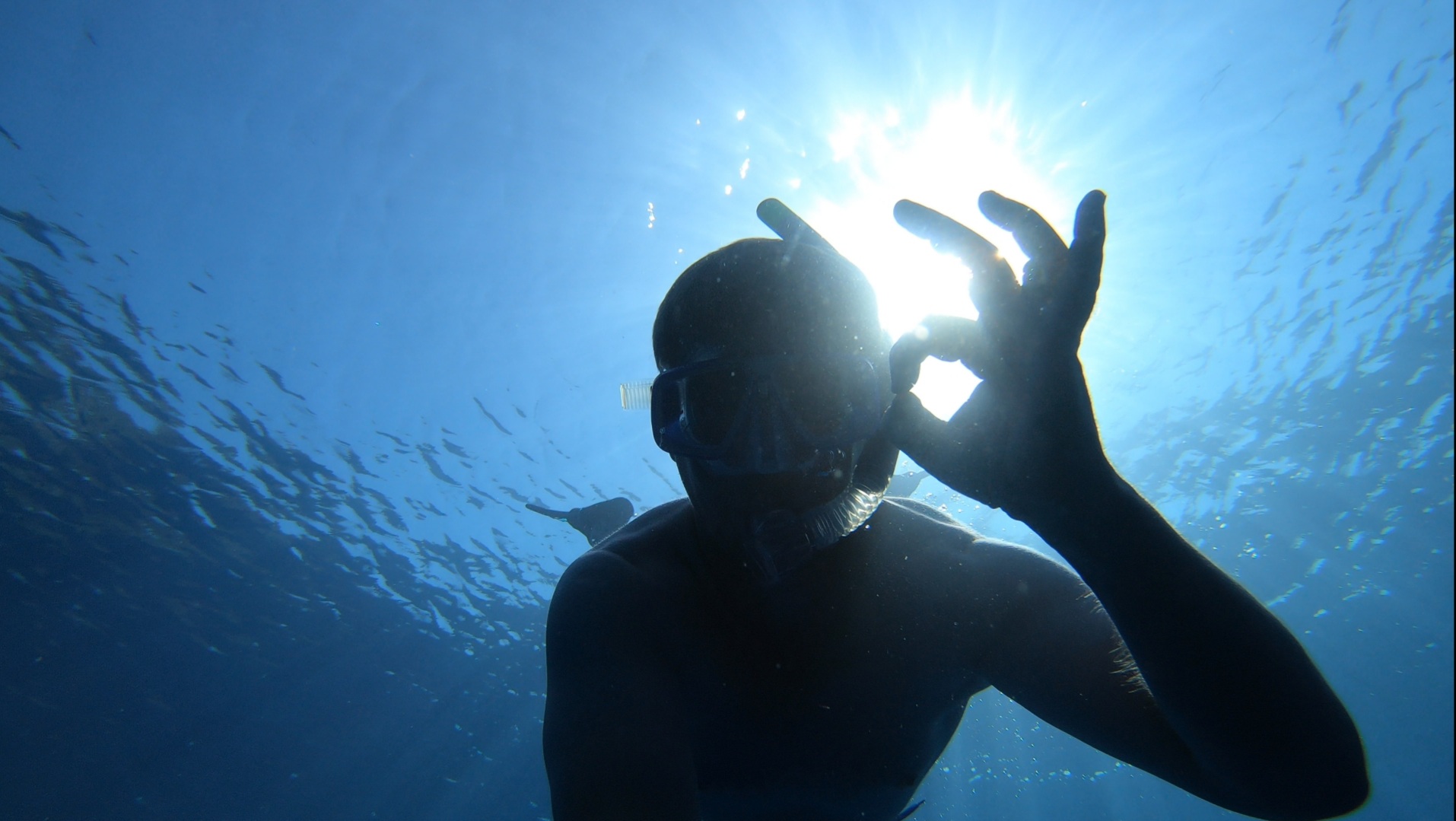 20210809_111545 - pagomo.eu